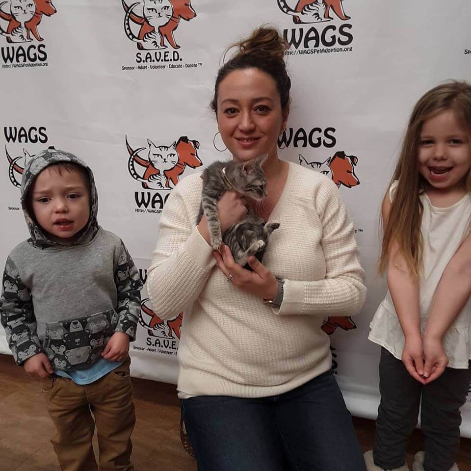 Friday and Saturday's adoptions - WAGS Pet Adoption