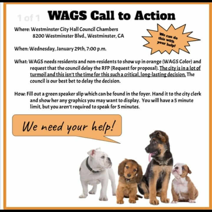 WAGS needs - Wags Pet Adoption